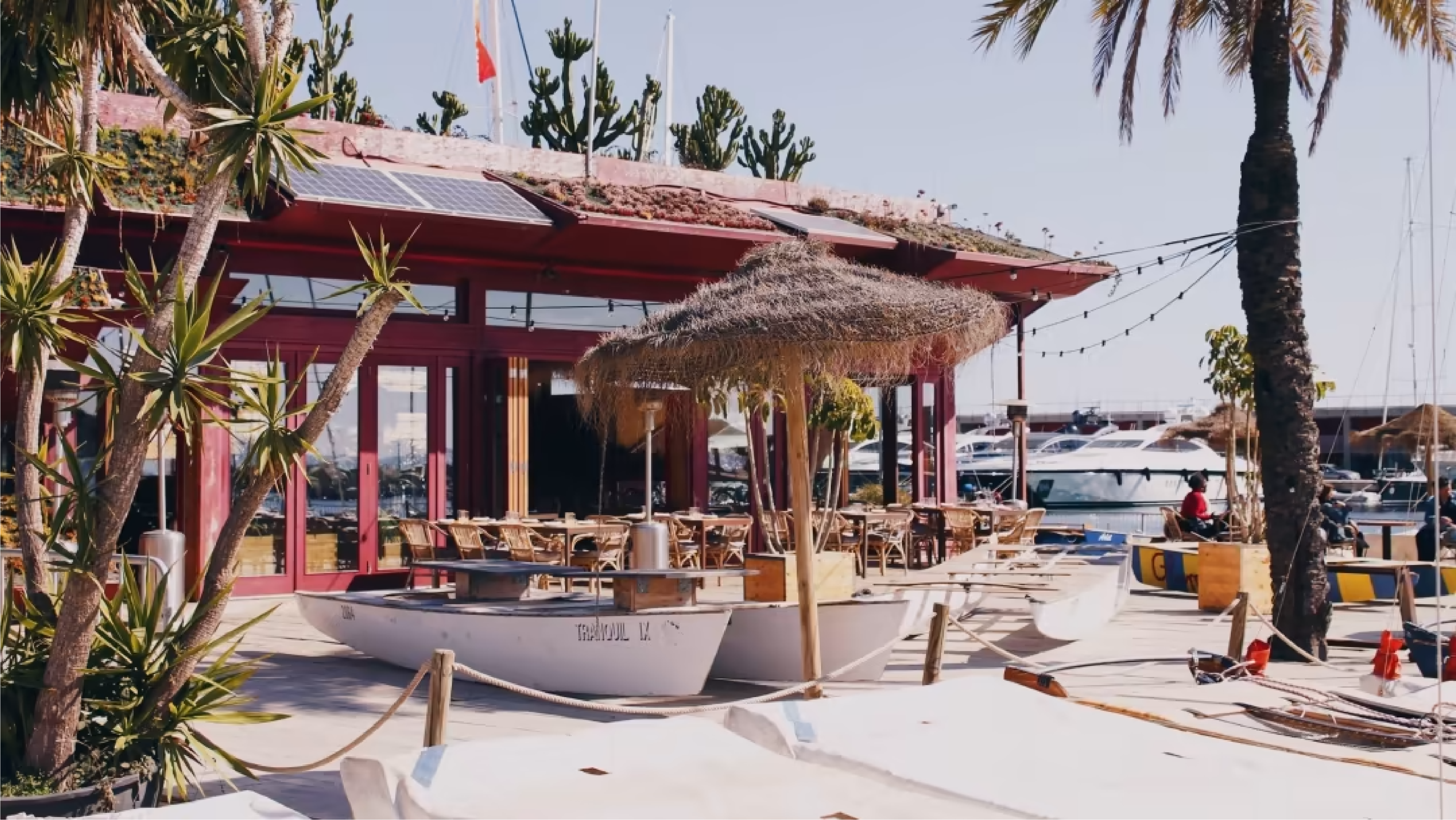 Red Fish – Thank You Bcn